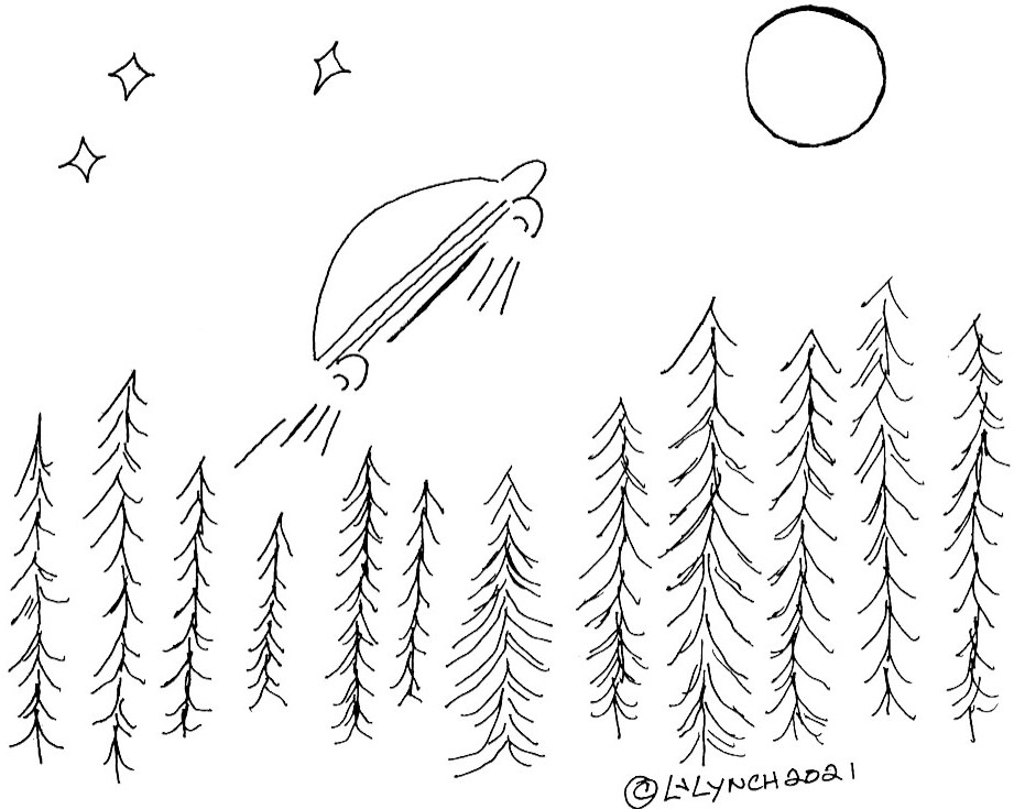 The Hoosie Stories | Stories & snootscartoons by LJ Lynch